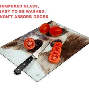 Tempered Glass Cutting Board Raccoon Tableware Kitchen Decorative Cutting Board with Non-slip Legs, Serving Board, Large Size, 15" x 11"