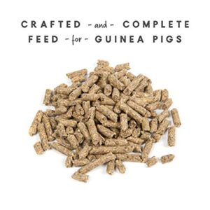 Manna Pro Guinea Pig Feed | with Vitamin C | Complete Feed for Guinea Pigs | No Artificial Colors or Flavors | 5 lb