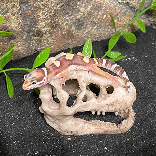 MTGHYARE Dinosaur Aquarium Decorations Skull Aquarium Ornament Mini Dinosaur Mold Decoration Tank Reptile Hide Decor with Holes Aquarium Landscape Reptile Betta Fish Hideout Caves