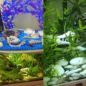 MTGHYARE Dinosaur Aquarium Decorations Skull Aquarium Ornament Mini Dinosaur Mold Decoration Tank Reptile Hide Decor with Holes Aquarium Landscape Reptile Betta Fish Hideout Caves