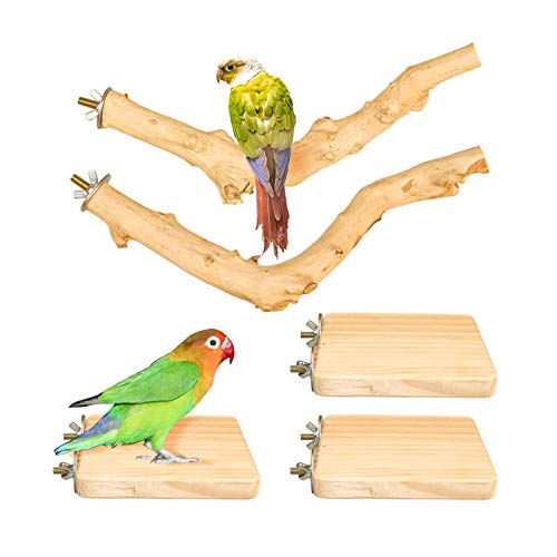 5 PCS Bird Perch Wood Stand Pole，Bird Wood Perch Platform Exercise Playground Toy for Pet Parrot Budgie Parakeet Cockatiel Conure Lovebirds Cage Accessories Toys (H01)