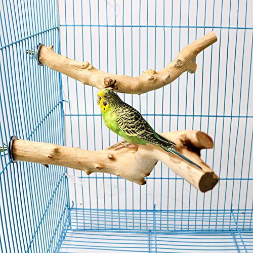 5 PCS Bird Perch Wood Stand Pole，Bird Wood Perch Platform Exercise Playground Toy for Pet Parrot Budgie Parakeet Cockatiel Conure Lovebirds Cage Accessories Toys (H01)