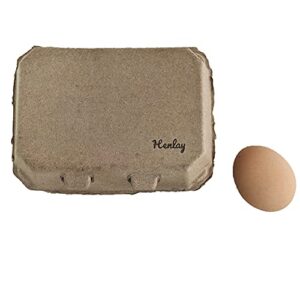 Half Dozen Egg Cartons- Henlay Blank Flat Top Six Pack (100)