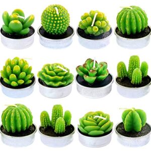 12 Pieces Cactus Tealight Candles Handmade Delicate Succulent Cactus Candles for Party Wedding Spa Home Decoration Gifts