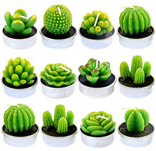 12 Pieces Cactus Tealight Candles Handmade Delicate Succulent Cactus Candles for Party Wedding Spa Home Decoration Gifts