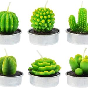 12 Pieces Cactus Tealight Candles Handmade Delicate Succulent Cactus Candles for Party Wedding Spa Home Decoration Gifts