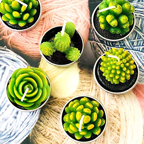 12 Pieces Cactus Tealight Candles Handmade Delicate Succulent Cactus Candles for Party Wedding Spa Home Decoration Gifts