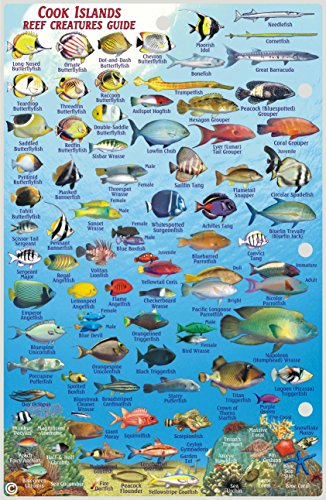 Cook Islands Dive Map & Coral Reef Creatures Guide Franko Maps Laminated Fish Card