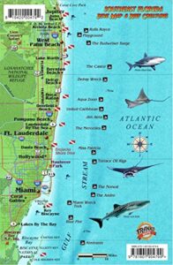 southeast florida dive map & coral reef creatures guide franko maps laminated fish card