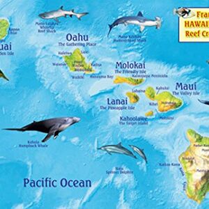 Hawaiian Islands Map & Coral Reef Creatures Guide Franko Maps Laminated Fish Card