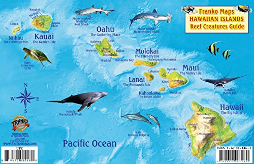 Hawaiian Islands Map & Coral Reef Creatures Guide Franko Maps Laminated Fish Card