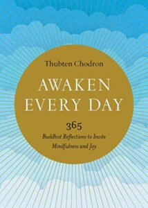 awaken every day: 365 buddhist reflections to invite mindfulness and joy