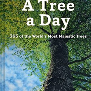 A Tree a Day