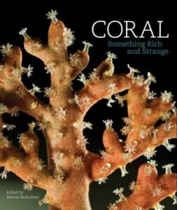 coral: something rich and strange