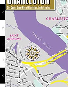 Streetwise Charleston Map - Laminated City Center Street Map of Charleston, South Carolina (Michelin Streetwise Maps)