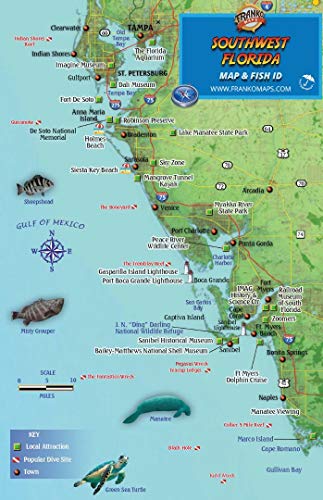 Southwest Florida Dive Map & Coral Reef Creatures Guide Franko Maps Laminated Fish Card