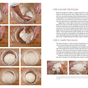 Flour Water Salt Yeast: The Fundamentals of Artisan Bread and Pizza [A Cookbook]