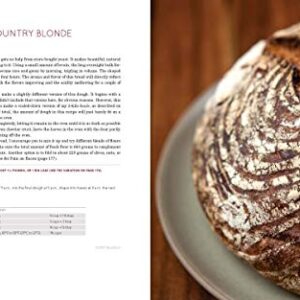 Flour Water Salt Yeast: The Fundamentals of Artisan Bread and Pizza [A Cookbook]