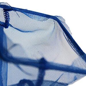 PENN-PLAX Quick-Net Aquarium Fish Net – Durable, Strong, and Safe – Color May Vary (Blue or Green) – 2” x 1.75” Net – 10” Handle