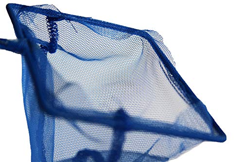 PENN-PLAX Quick-Net Aquarium Fish Net – Durable, Strong, and Safe – Color May Vary (Blue or Green) – 2” x 1.75” Net – 10” Handle