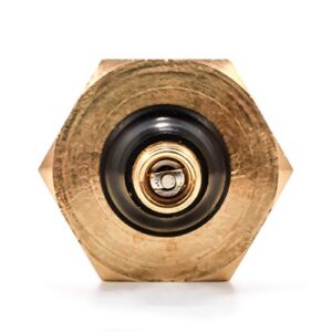 Camco RV Brass Blow Out Plug | Helps Clear Your RV's Water Lines During Winterization and Dewinterization (36153)