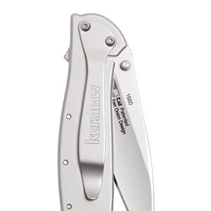 Kershaw Leek Pocket Knife, 3" 14C28N Stainless Steel Drop Point Blade, Spring Assisted Knife, Folding EDC