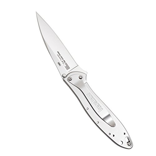 Kershaw Leek Pocket Knife, 3" 14C28N Stainless Steel Drop Point Blade, Spring Assisted Knife, Folding EDC