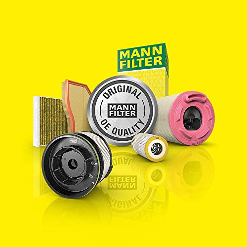 Mann Filter C 2558/5 Air Filter