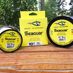 Seaguar Invizx 100% Fluorocarbon 200 Yard Fishing Line (12-Pound)