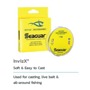 Seaguar Invizx 100% Fluorocarbon 200 Yard Fishing Line (12-Pound)