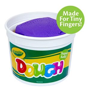 Crayola Dough - Purple (3lb), Bulk Modeling Dough for Kids, Clay Alternative, Resealable Tub, Ages 3+, Great for Kids Arts & Crafts