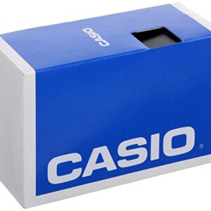 Casio Men's DW290-1V "Classic" Sport Watch