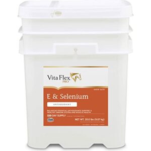 Vita Flex Pro E and Horse Selenium Supplement, Balanced Essential Antioxidants, 20 Pound, 320-Day Supply