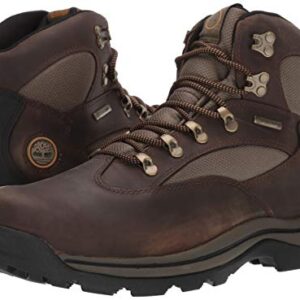 Timberland Men's Chocorua Trail Mid Waterproof Snow Shoe, Brown/Green, 10 D - Medium