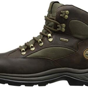 Timberland Men's Chocorua Trail Mid Waterproof Snow Shoe, Brown/Green, 10 D - Medium