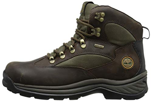 Timberland Men's Chocorua Trail Mid Waterproof Snow Shoe, Brown/Green, 10 D - Medium