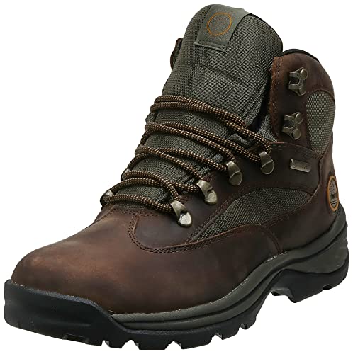 Timberland Men's Chocorua Trail Mid Waterproof Snow Shoe, Brown/Green, 10 D - Medium