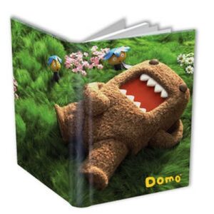 domo journal