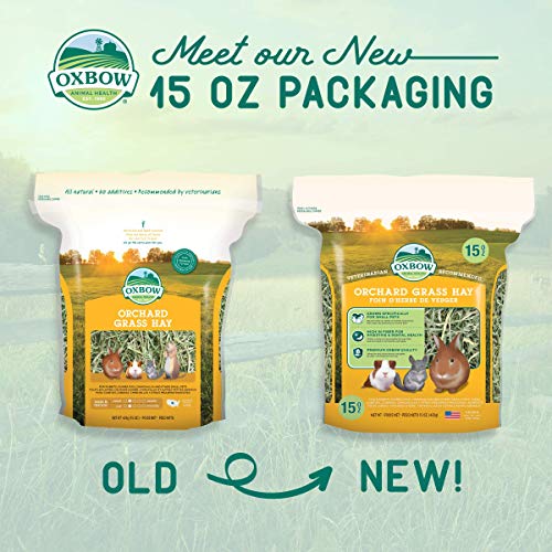 Oxbow Animal Health Orchard Grass Hay - All Natural Grass Hay for Chinchillas, Rabbits, Guinea Pigs, Hamsters & Gerbils - 15 oz.