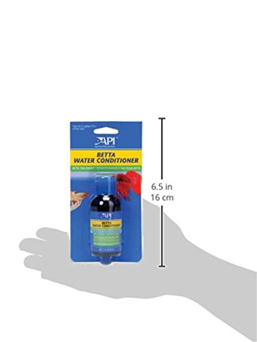 API BETTA WATER CONDITIONER Betta Fish Freshwater Aquarium Water Conditioner 1.7-Ounce Bottle, BETTA WATER COND, 1.7 OZ