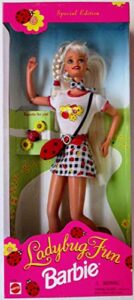 barbie ladybug fun