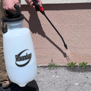 Roundup 190260 Lawn and Garden Sprayer, 2 Gallon