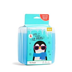 cool coolers by fit + fresh, 4 pack slim ice packs, space saving reusable ice packs for lunch boxes or coolers, single pack