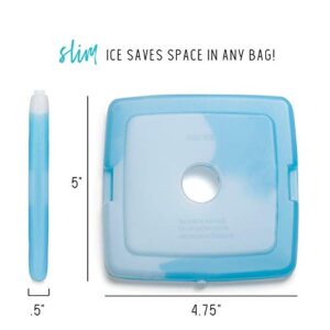 Cool Coolers by Fit + Fresh, 4 Pack Slim Ice Packs, Space Saving Reusable Ice Packs for Lunch Boxes or Coolers, Single Pack