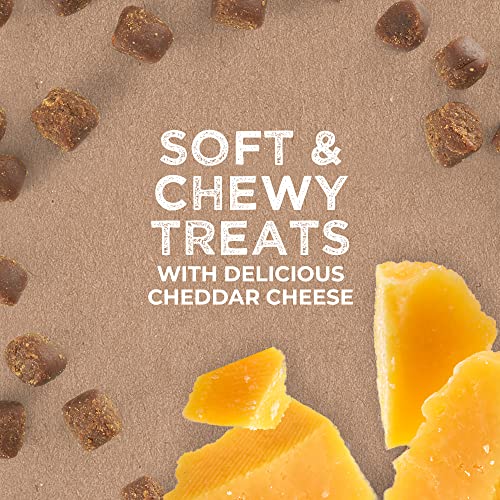 Cloud Star Tricky Trainers Soft & Chewy Dog Training Treats 14 oz Pouch, Cheddar Flavor, Low Calorie Behavior Aid with 360 treats