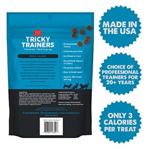 Cloud Star Tricky Trainers Soft & Chewy Dog Training Treats 14 oz Pouch, Salmon Flavor, Low Calorie Behavior Aid with 360 treats