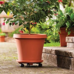 Bloem Fiskars 95122C 12-Inch Round Plant Caddy, Color Terracotta