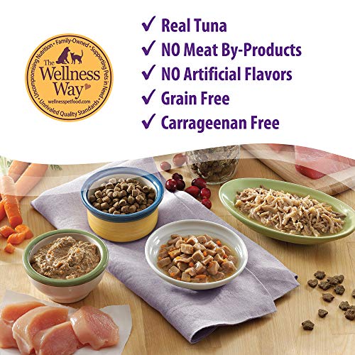 Wellness Natural Pet Food Wellness Complete Health Natural Grain Free Wet Canned Cat Food, Cubed Salmon Entree, 3-Ounce Can (Pack of 24)