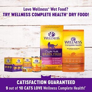 Wellness Natural Pet Food Wellness Complete Health Natural Grain Free Wet Canned Cat Food, Cubed Salmon Entree, 3-Ounce Can (Pack of 24)