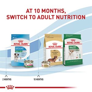 Royal Canin Size Health Nutrition Small Puppy Dry Dog Food, 2.5 lb bag